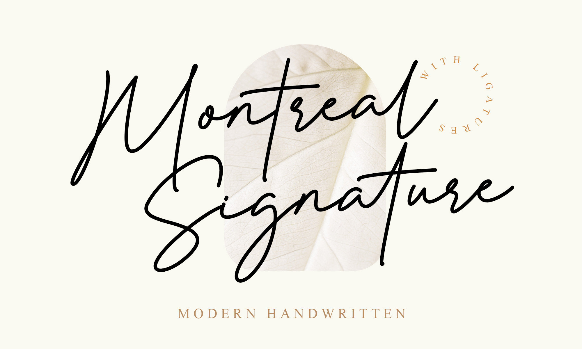 Signature Font, Single Line Font, Silhouette Font, Branding Font ...