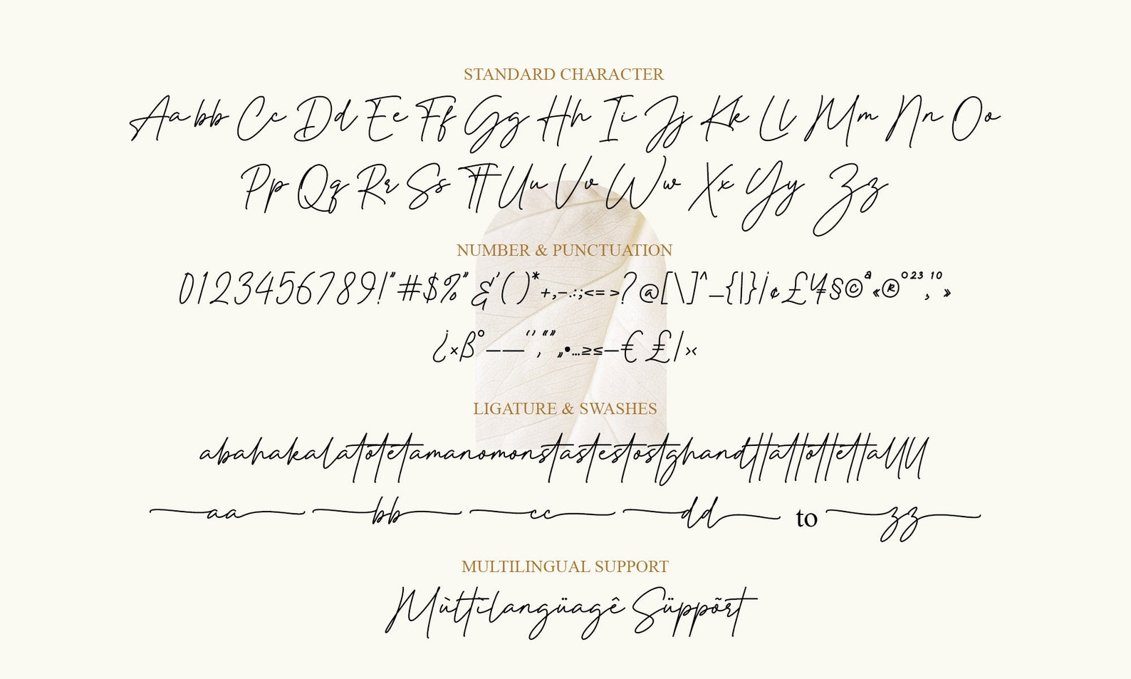 Signature Font Single Line Font Silhouette Font Branding - Etsy