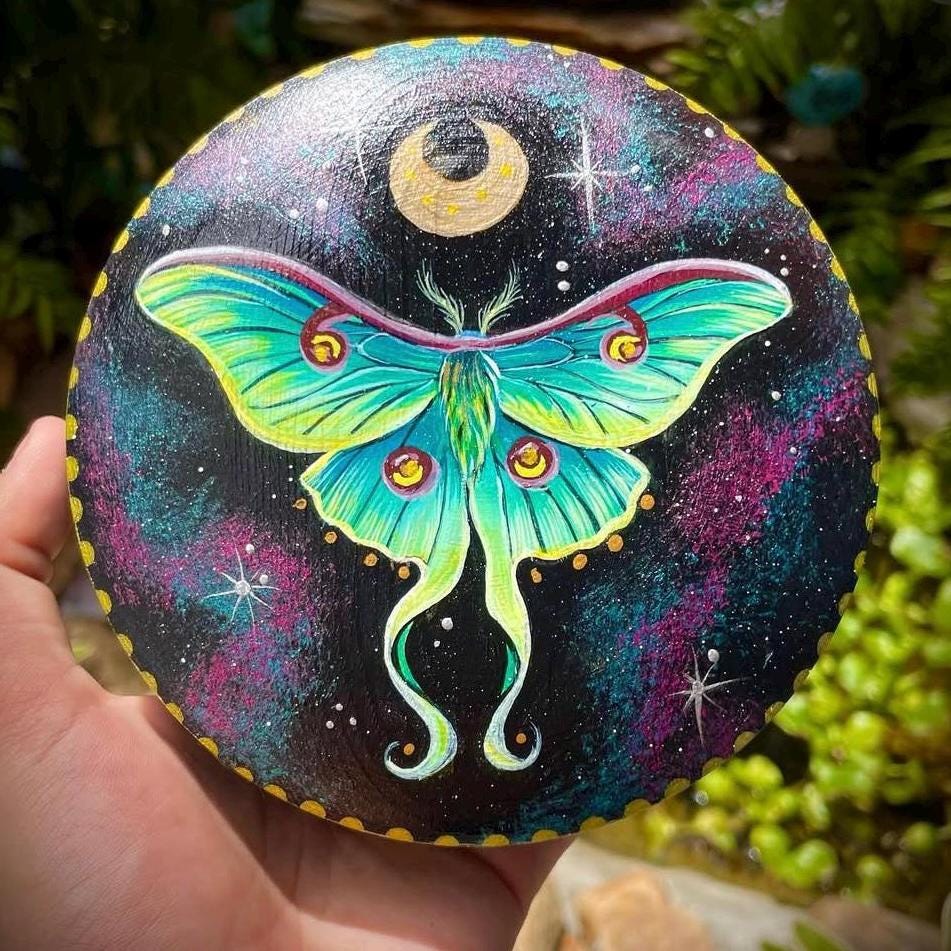 Luna Moth Jewelry Box - Etsy