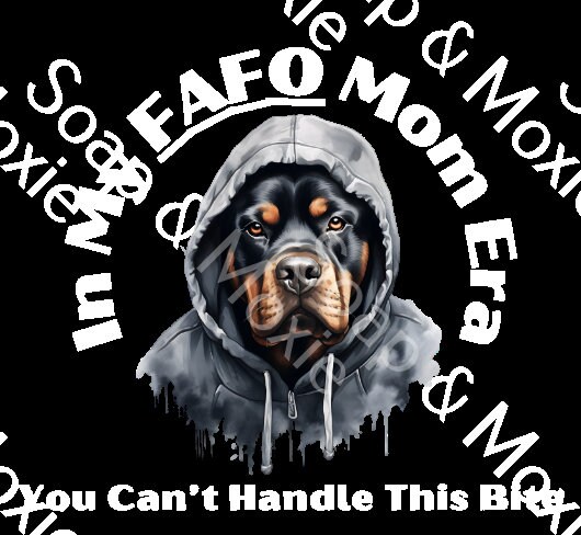 FAFO Mom ERA Digital File - Etsy