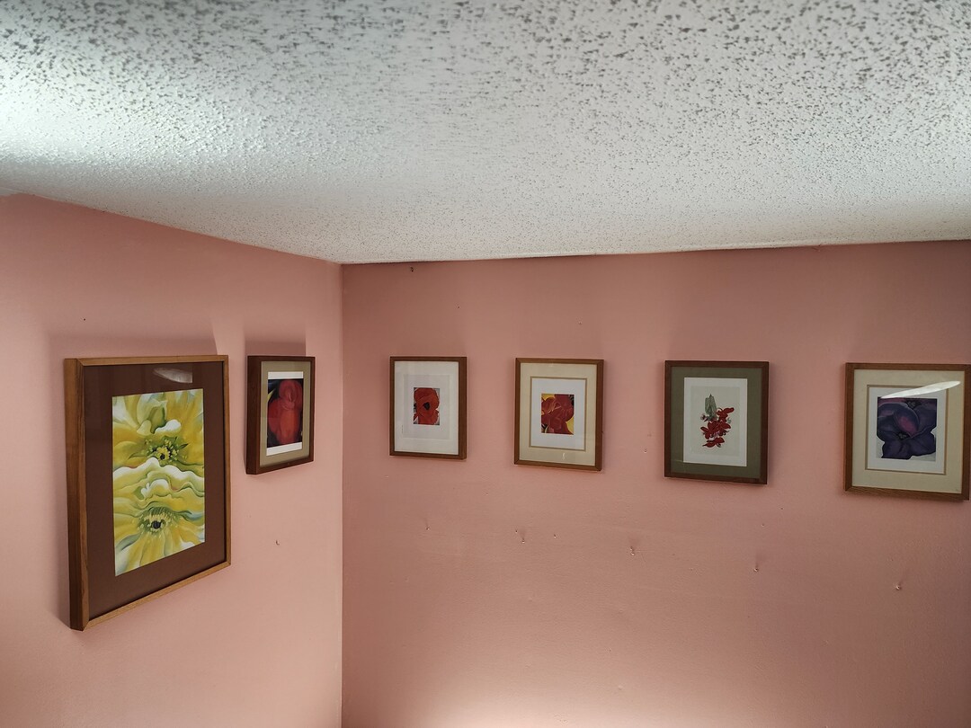 Vintage Geogia O'keefe 100 Flowers Framed Solid Oak Picture Frames Wall ...