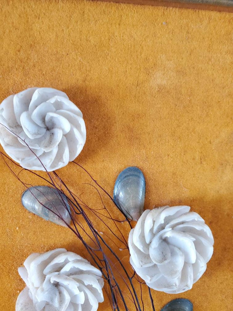 Mid-century Modern Shell Art Wall Decor - Etsy