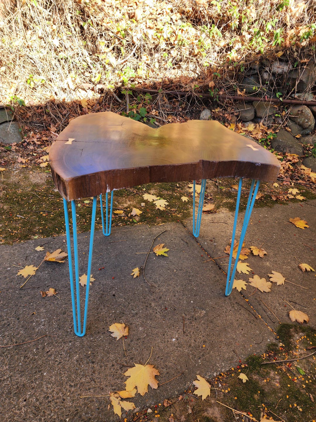 Live Edge Cookie Slab Accent Table Teal Hairpin Legs Butterfly Top 32in ...