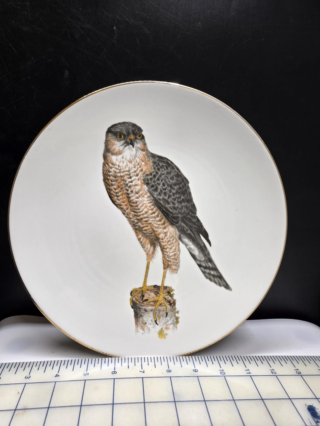 Royal Kendal Bone China H&M Ltd Plate Accipiter Nisus Hawk Bird ...