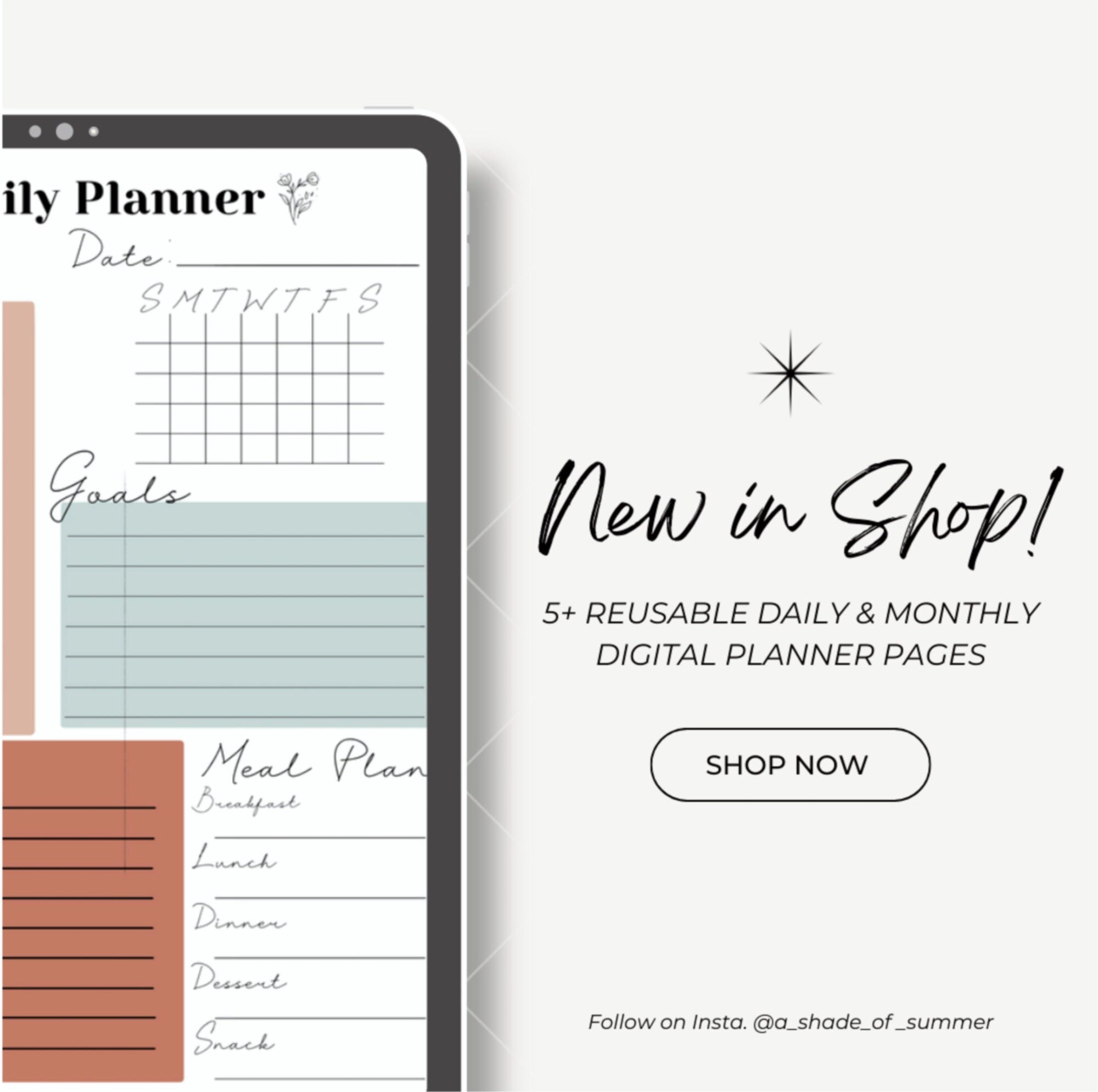 Reusable Digital Planner for iPad - Etsy
