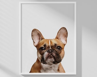 French Boo Dog - Etsy