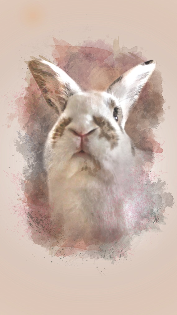 CUSTOM PET Portrait/watercolour Rabbit Portrait/custom Pet | Etsy