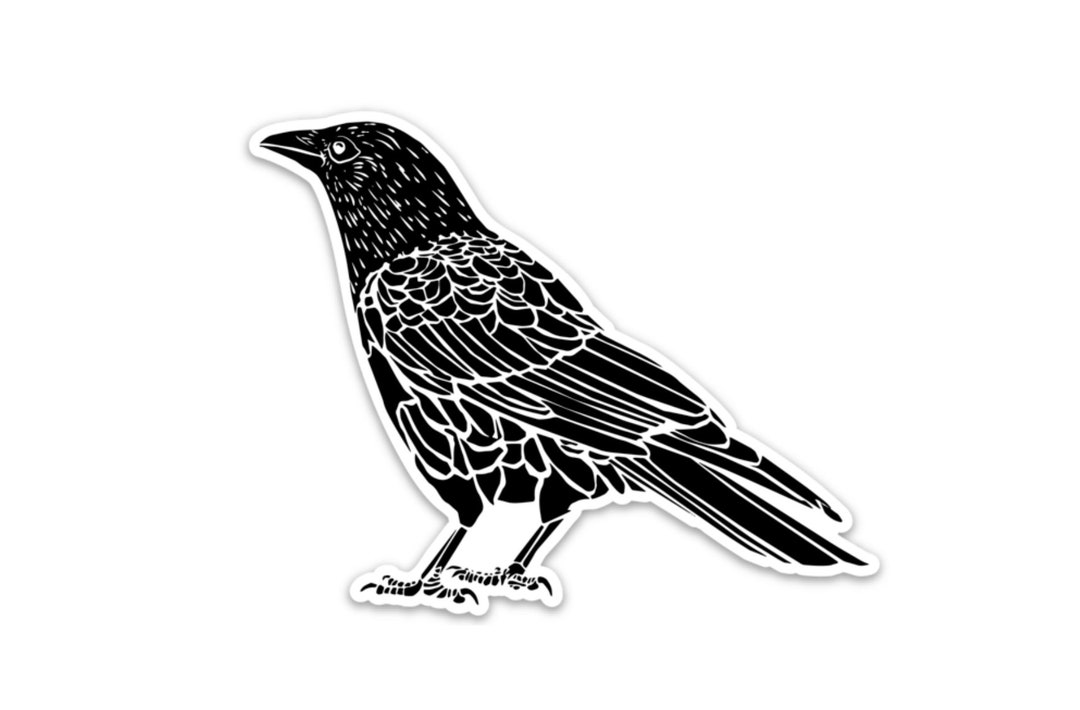 Bellavanceink: Black Crow Vinyl Sticker Pen and Ink Illustration - Etsy