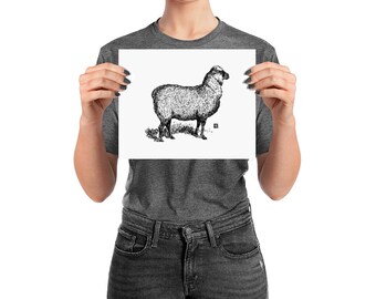 Sheep Ink Drawing | Etsy
