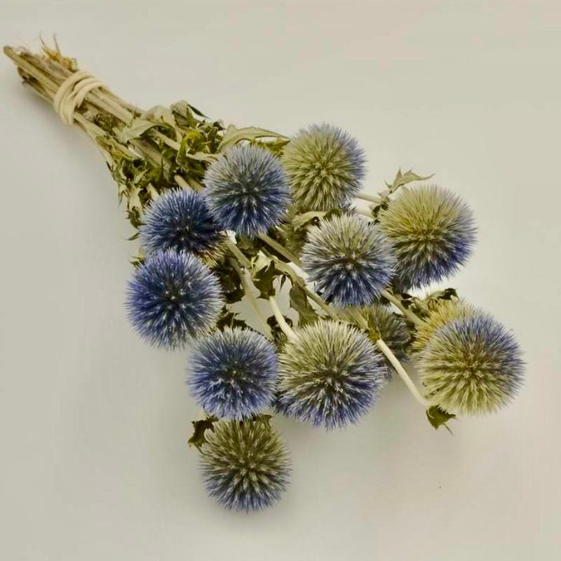 Blue Dried Flowers - Etsy