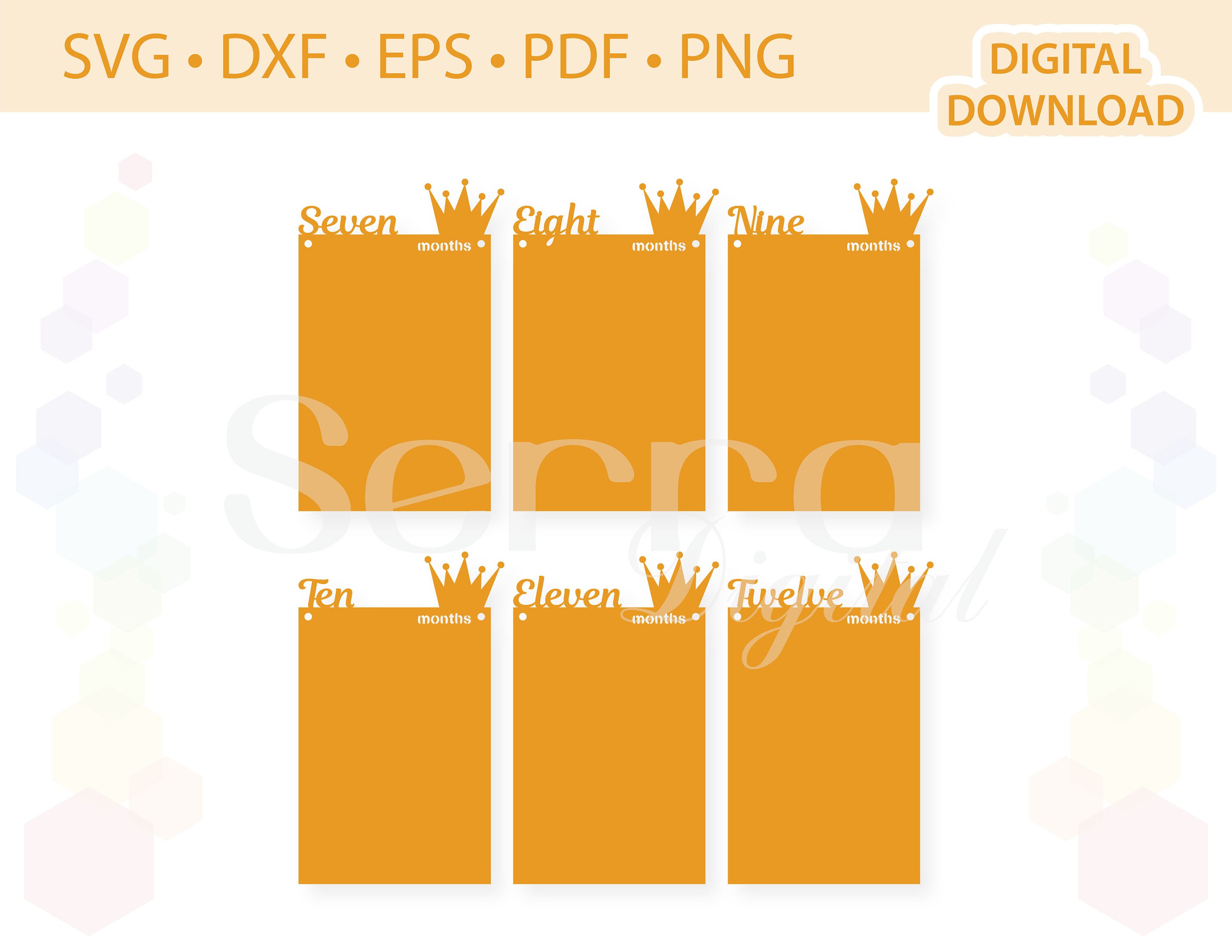 First Birthday Photo Banner First Year Photo Banner First - Etsy