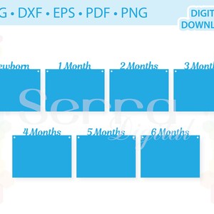 First Birthday Photo Banner First Year Photo Banner First - Etsy