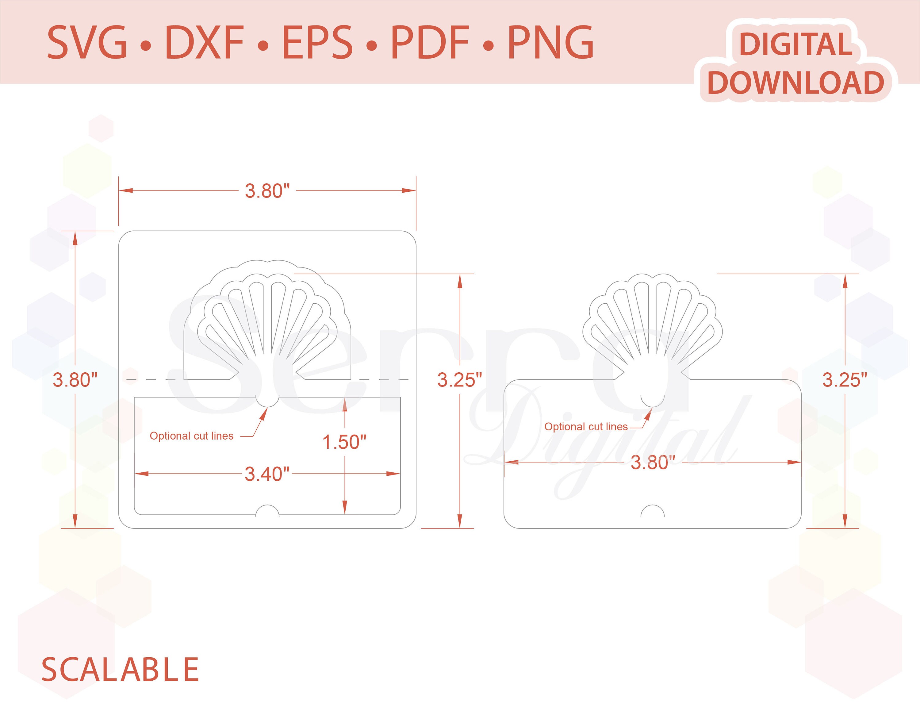 Seashell Place Card Template .svg .dxf .eps .pdf .png | Etsy