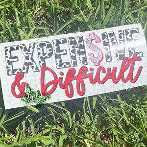 Expensive & Difficult Car Decal | Holographic Car Decals | Vinyl ...
