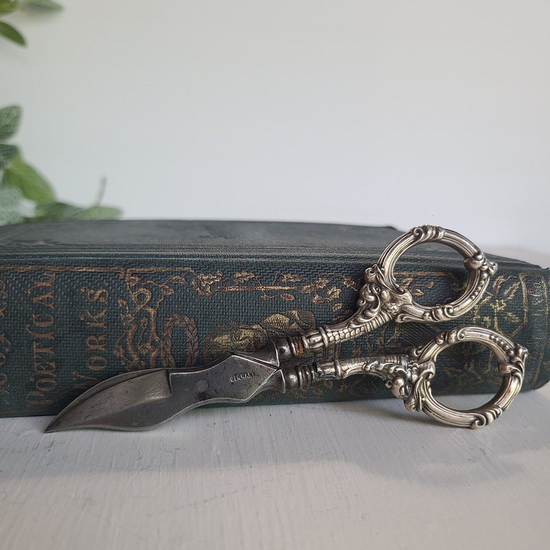Flower Shears - Etsy