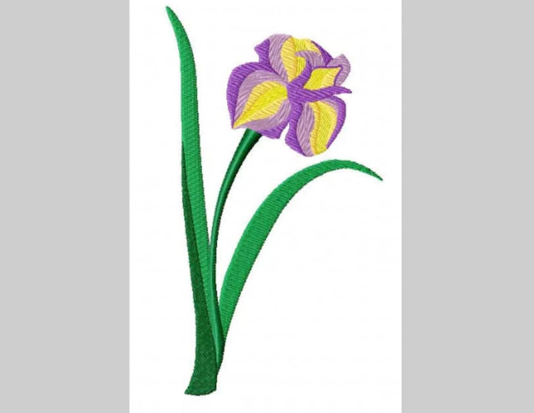 Iris Flower Machine Embroidery Design Pes, Hus, Jef, Dst, Exp, Jef, Vip ...