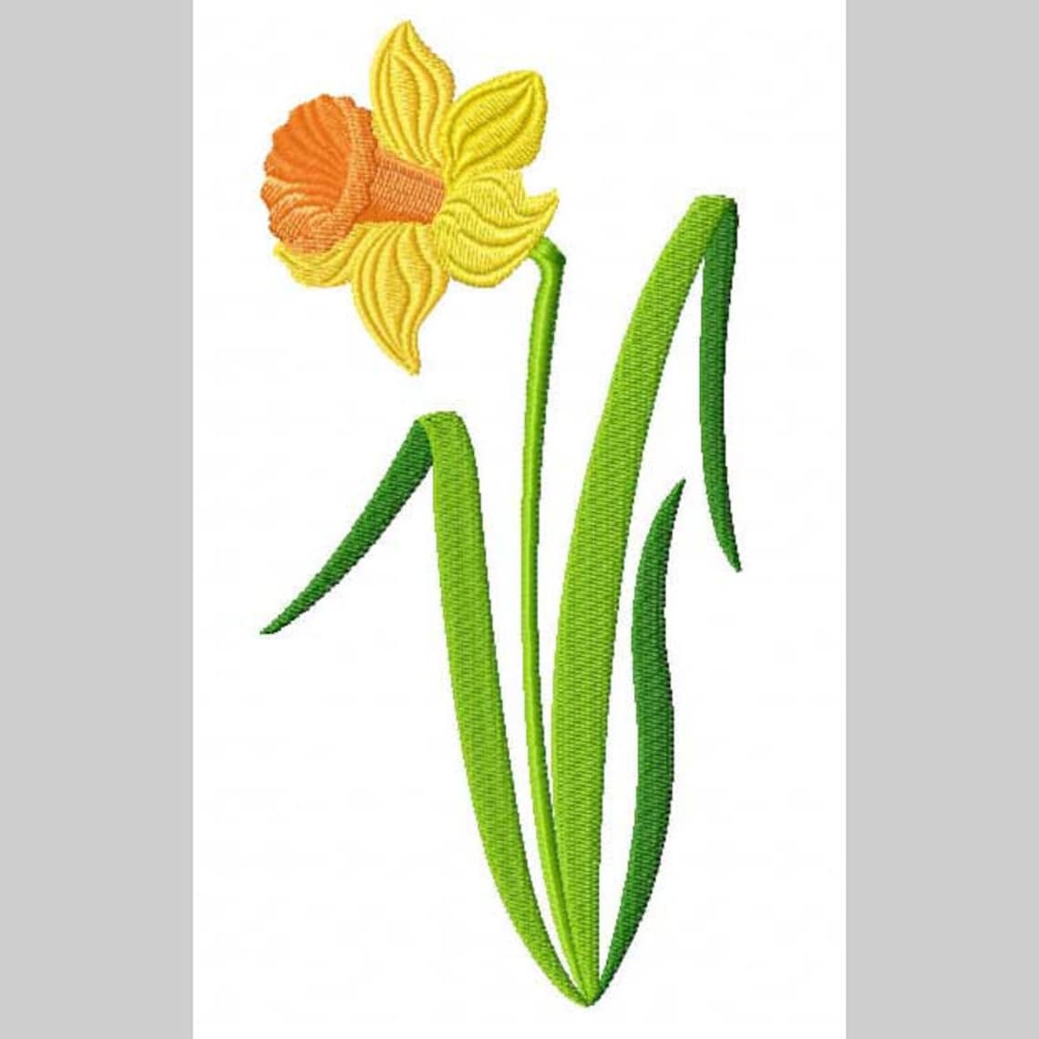 Daffodil Flower Machine Embroidery Design Pes Hus Jef Dst - Etsy