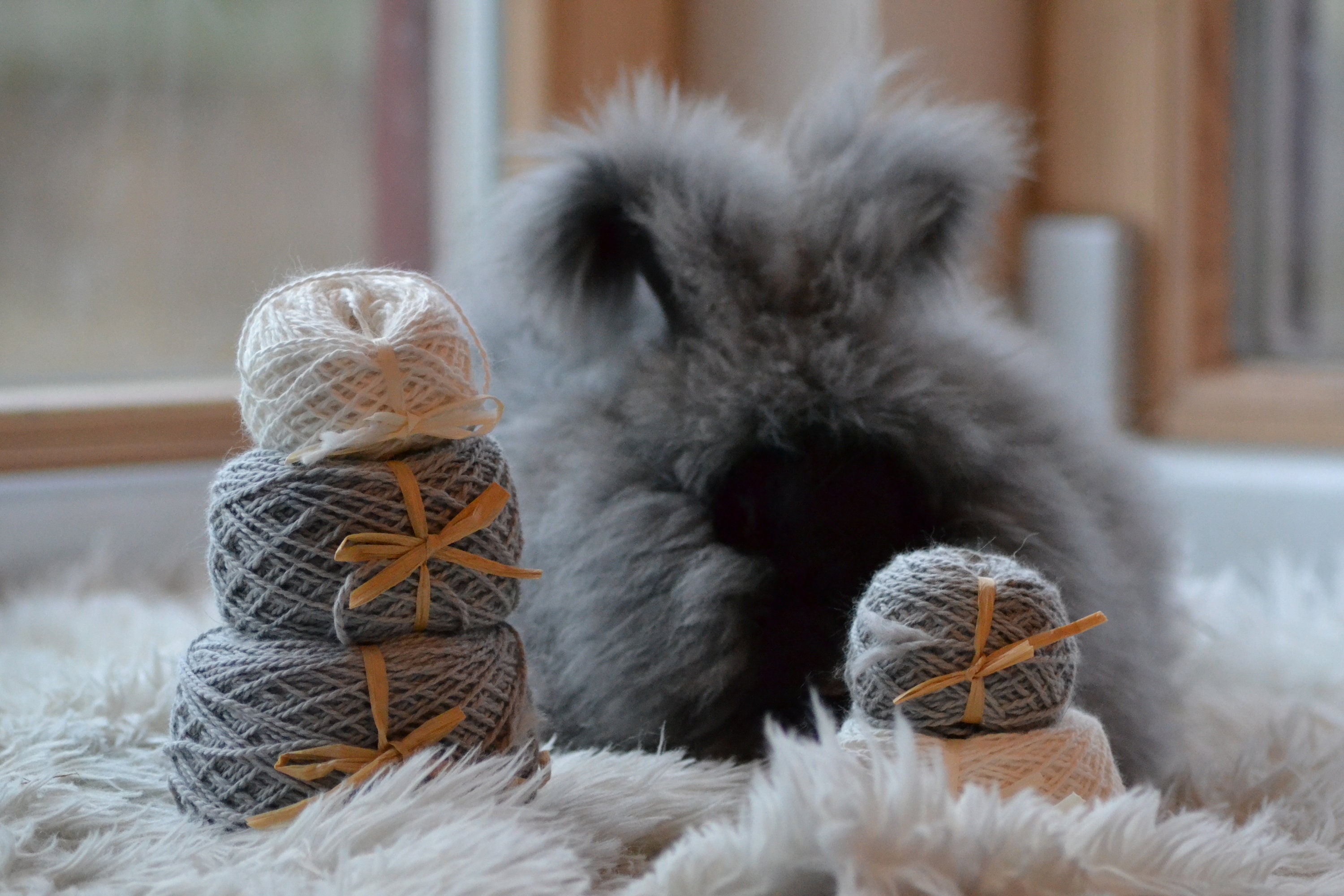 Angora Wool Yarn, 100% Angora Rabbit, Natural White - Etsy