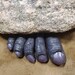 Gargoyle Feet Measures .75 H X 3.5 W X 3.5 Deep and is Made From ...