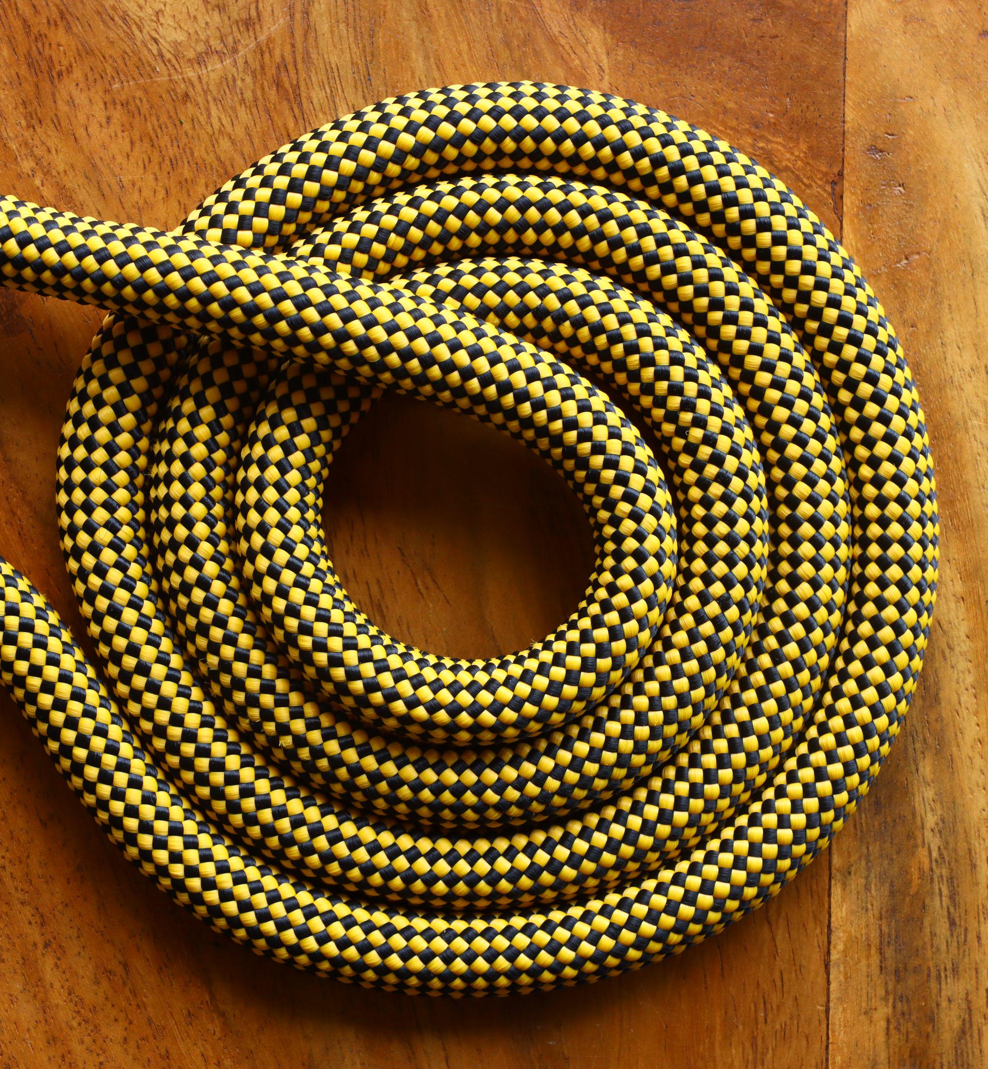 Black and Yellow Dog Leash, Personalized Leash for Small and Big Dogs ...