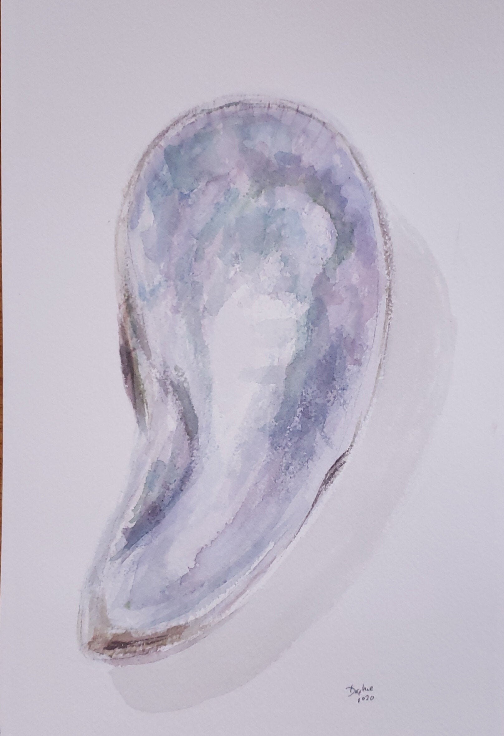 Original Watercolor Painting of Sea Shell, Mussel Shell Painting, Ocean ...