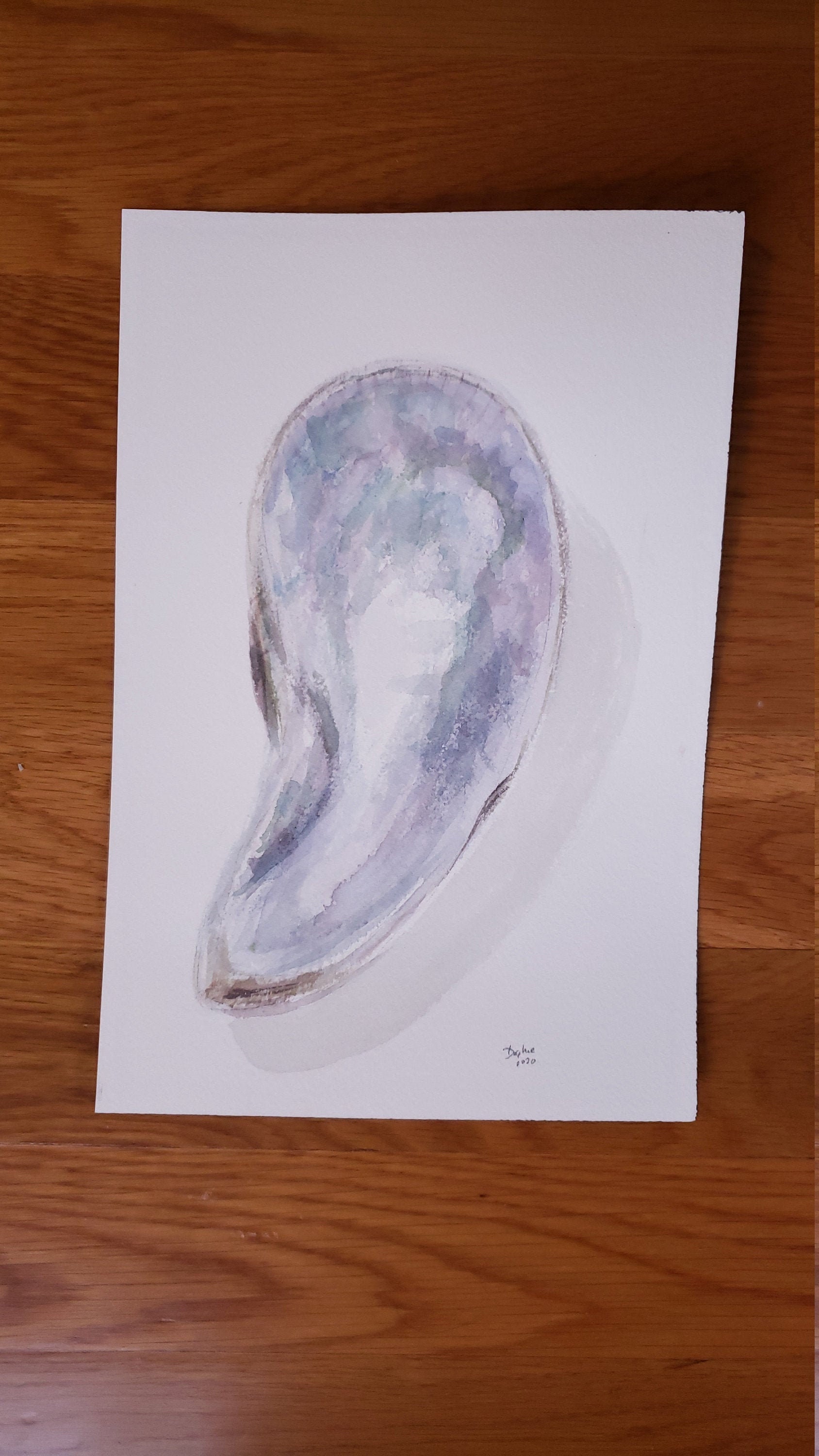 Original Watercolor Painting of Sea Shell, Mussel Shell Painting, Ocean ...