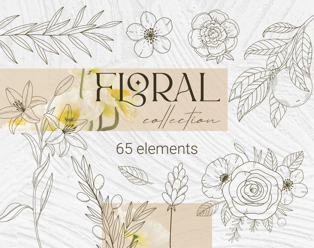 65 Floral Line Art Elements, Flowers SVG, Botanical Cliparts, Leaves ...