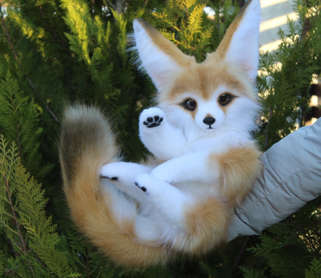 Pre-order Fennec Fox Poseable Art Doll Plush - Etsy UK