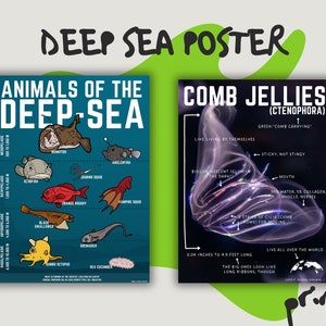 Deep Sea Animals Poster Marine Life Wall Art Ocean Creatures ...