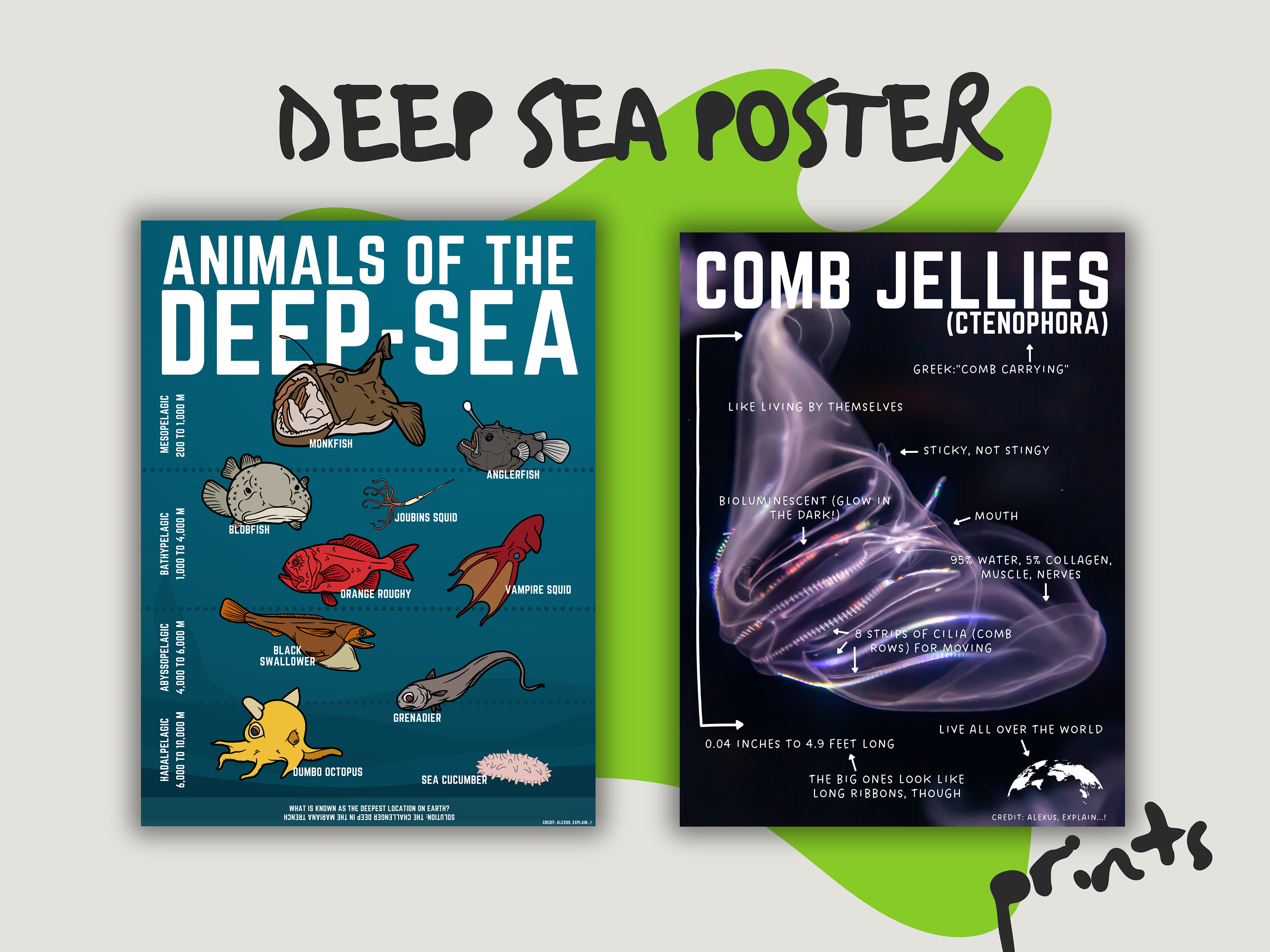 Deep Sea Animals Poster Marine Life Wall Art Ocean Creatures ...