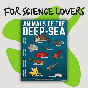 Deep Sea Animals Poster Marine Life Wall Art Ocean Creatures ...