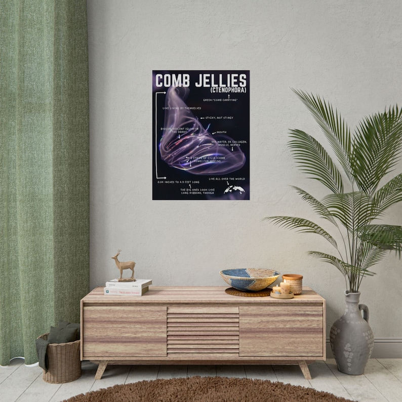 Comb Jellies Poster Marine Life Wall Art Ocean Creatures Educational ...