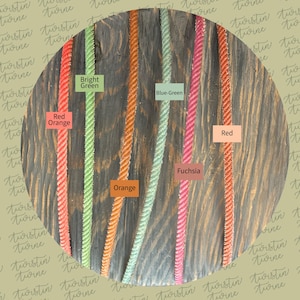 Mini Lariat Rope Cactus - Etsy