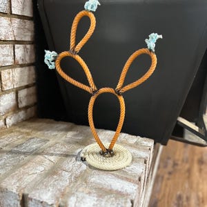 Mini Lariat Rope Cactus - Etsy