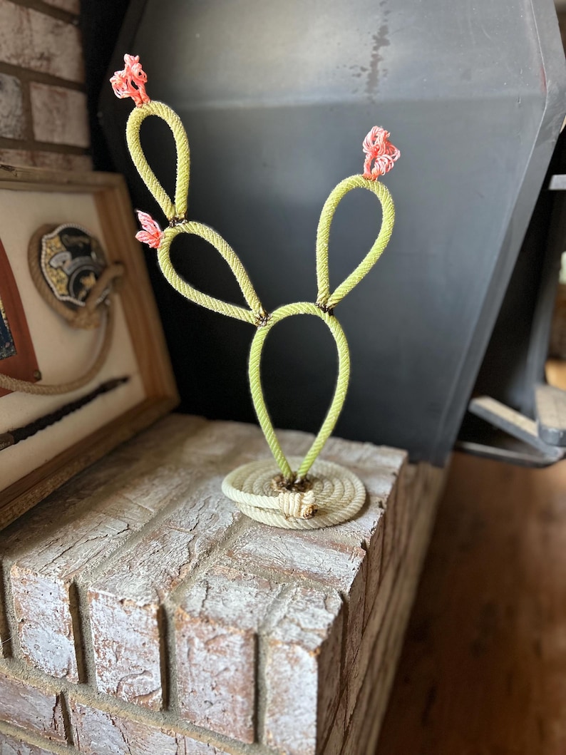 Mini Lariat Rope Cactus - Etsy