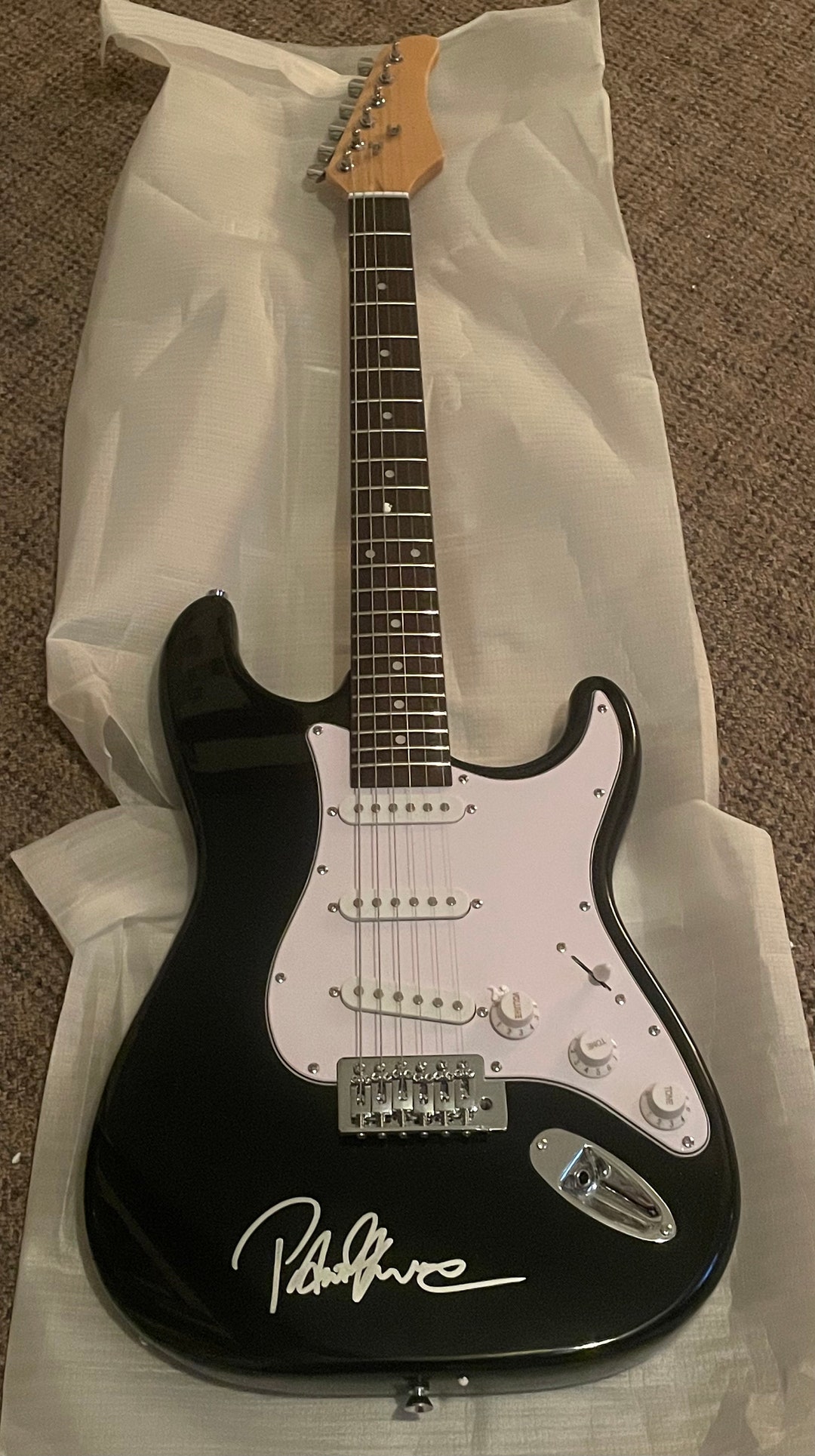 PETER FRAMPTON Autographed SIGNED Full Size Guitar - Etsy