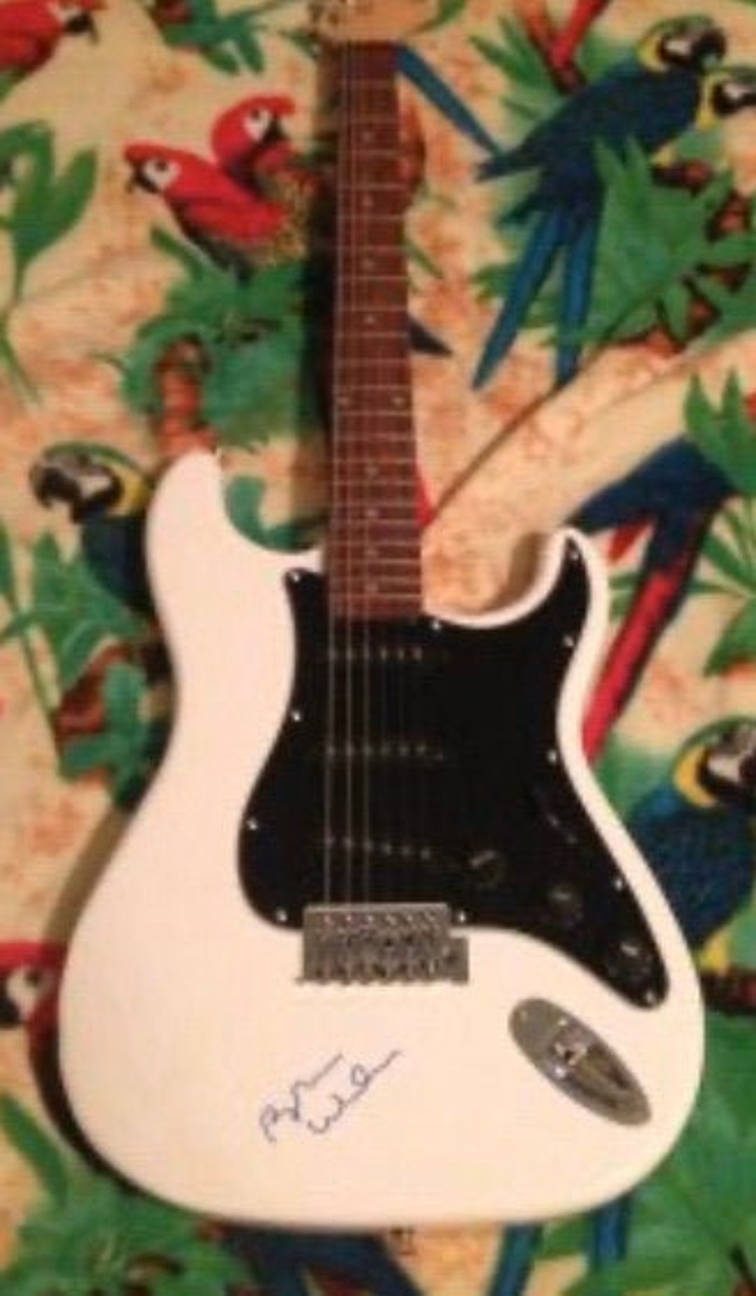 BEACH BOYS Brian Wilson Signed AUTOGRAPHED Full Size Guitar - Etsy