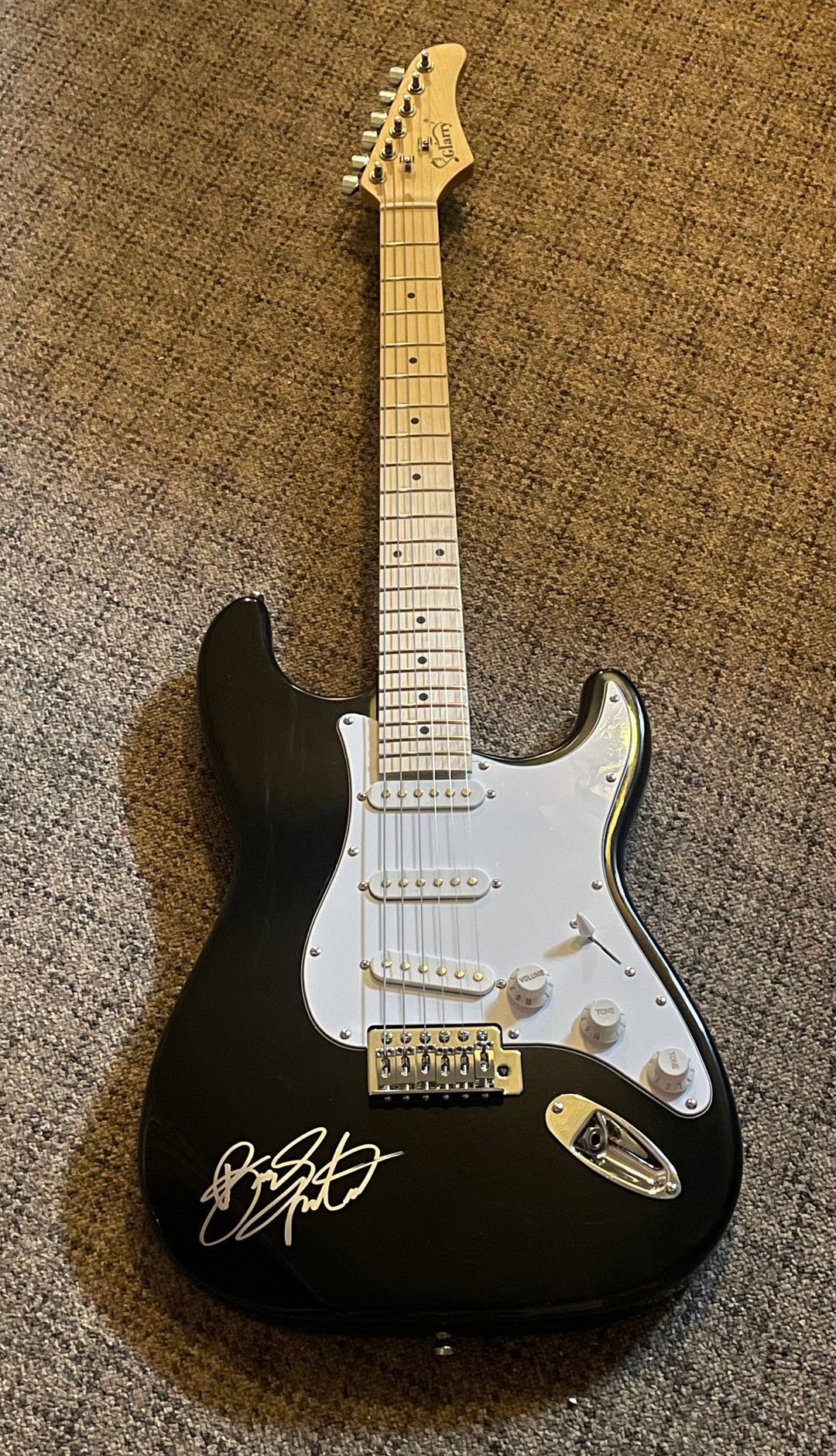 BRUCE SPRINGSTEEN Autographed Signed Full Size GUITAR - Etsy