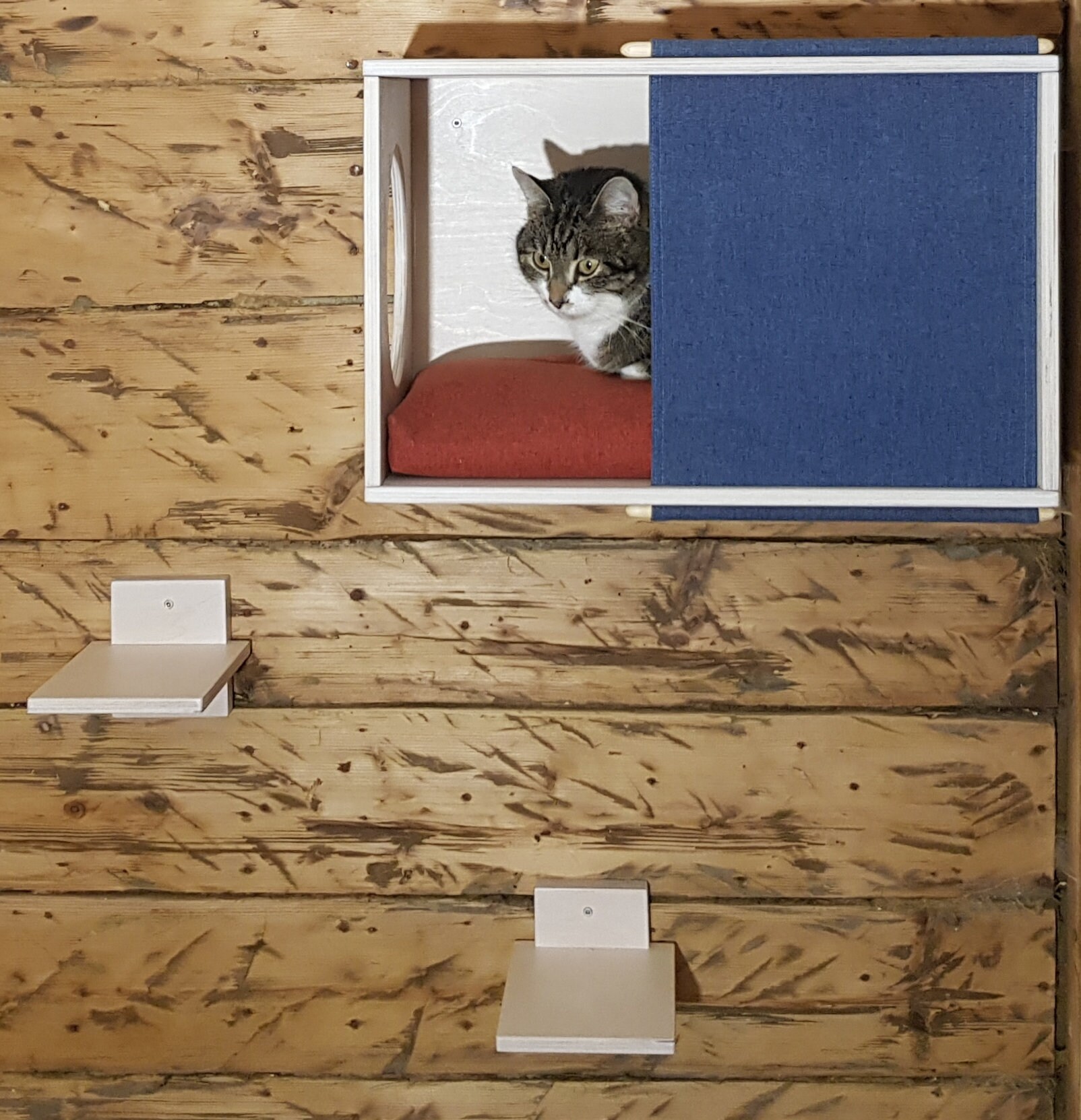 Wall mounted cat perch with steps and cushion/ Cat wall bed/ | Etsy