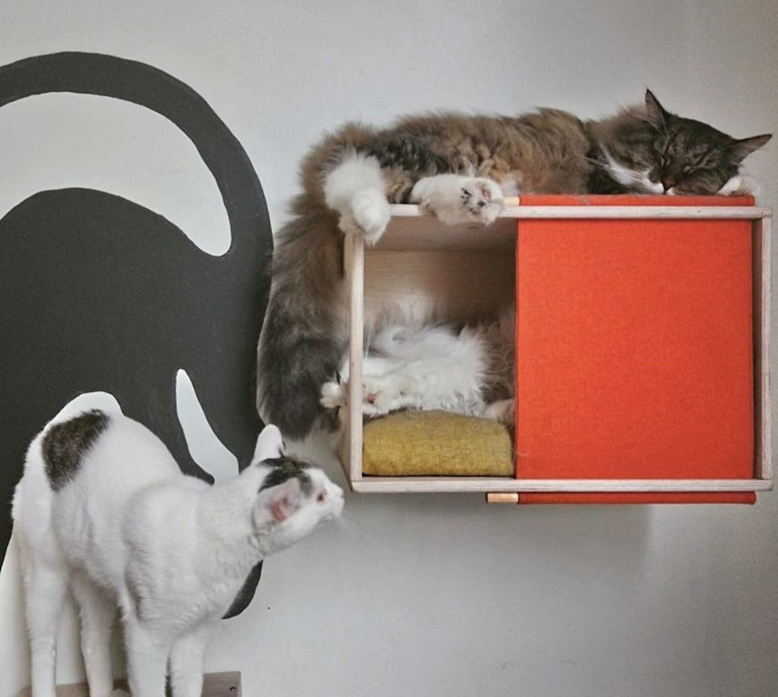 Wall Mounted Cat Perch With Textile Panel / Minimalist Cat - Etsy