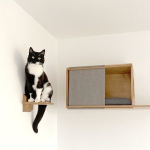 Wall mounted cat perch with steps and cushion/ Cat wall bed/ | Etsy