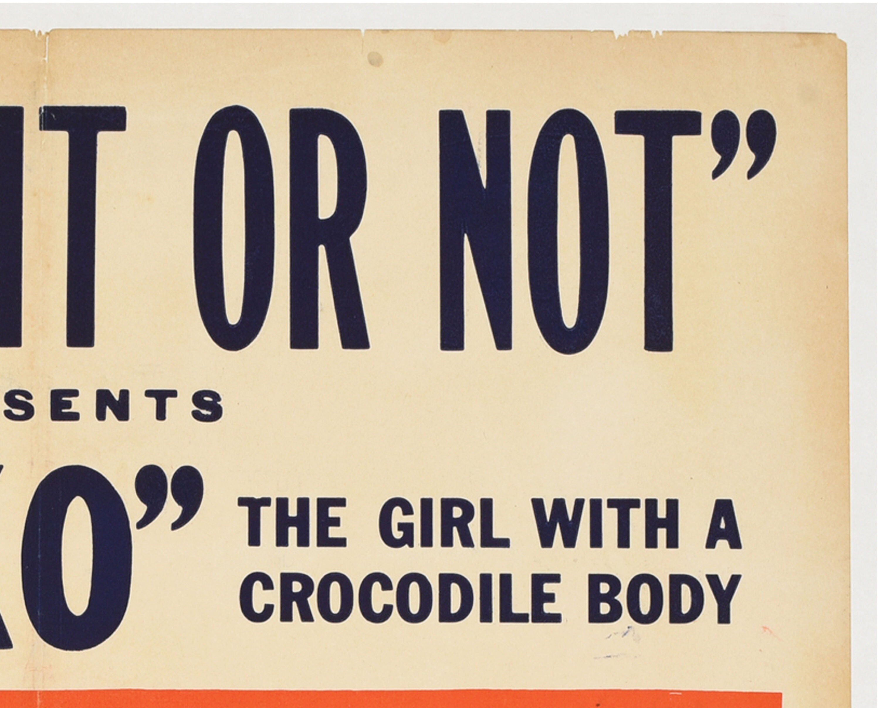Original Vintage 30s Believe It or Not Oddities Poster by Leroy Robert ...