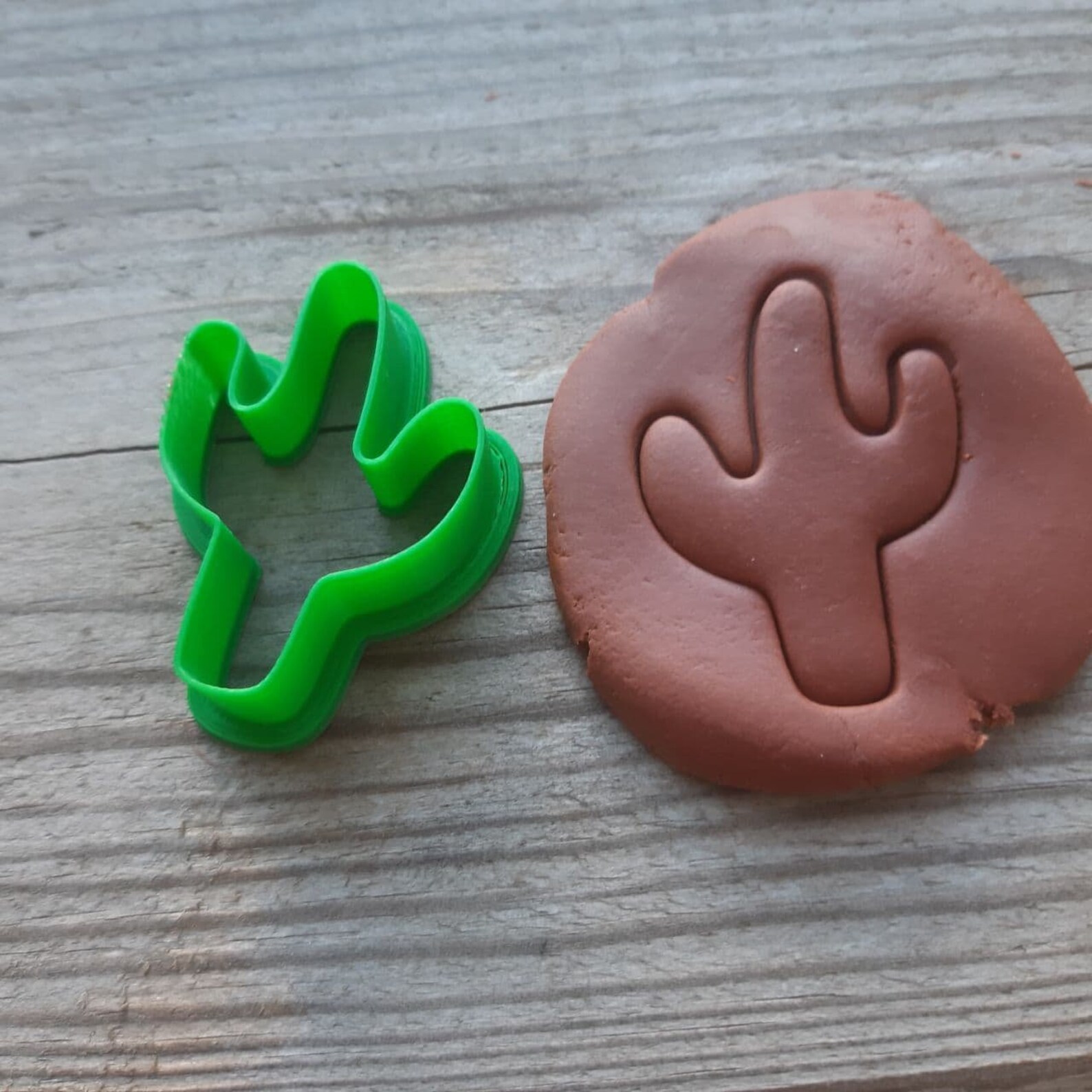 Cactus Polymer Clay Cutter Succulent Clay Earrings Cutter | Etsy