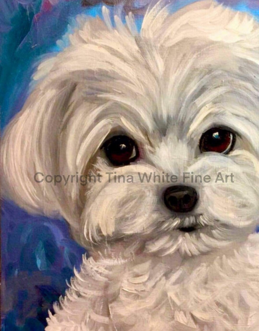 PRINT Sweet Maltese Dog Art 8x10 Maltese Mom Maltese Lovers - Etsy