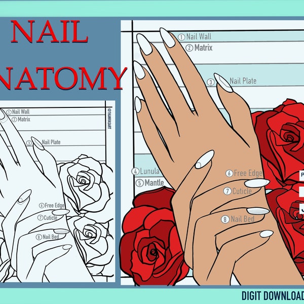 Cosmetology Printable - Etsy