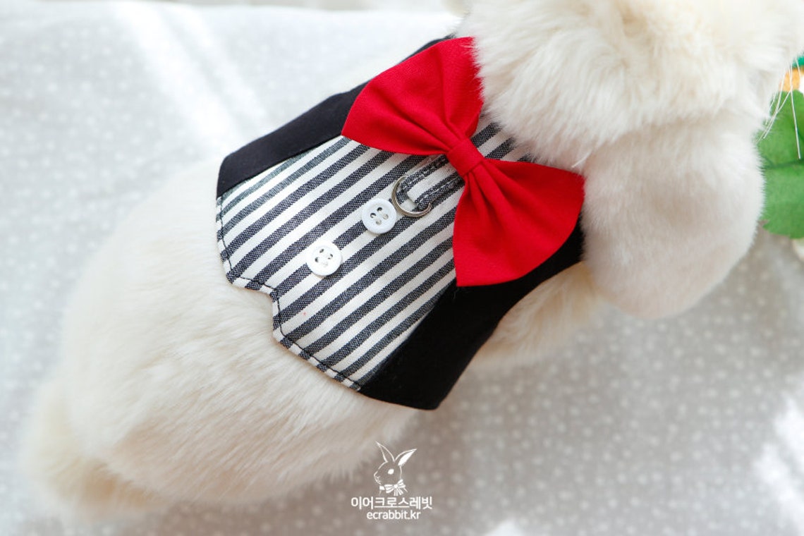 Stripe Harness for Only Rabbit vest Boy - Etsy