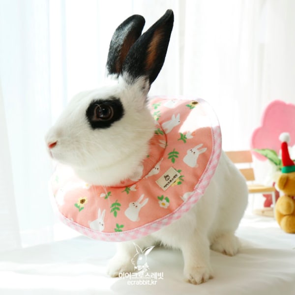 Elizabethan Collar - Etsy