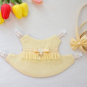 Mini Dot Pattern Harness for Only Rabbit Bunny, Dress Harness and Leash ...