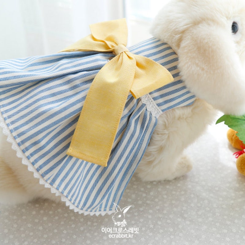 Pet Rabbit Clothing - Etsy