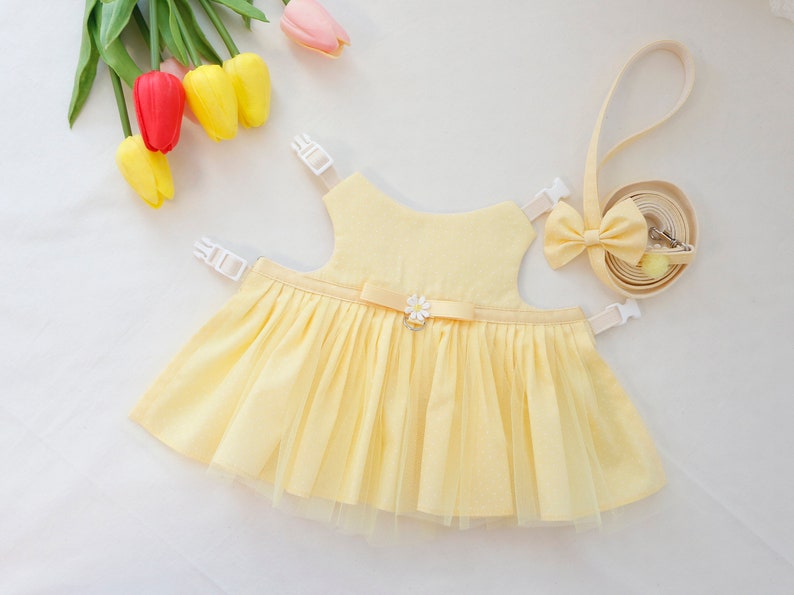 Mini Dot Pattern Harness for Only Rabbit Bunny, Dress Harness and Leash ...